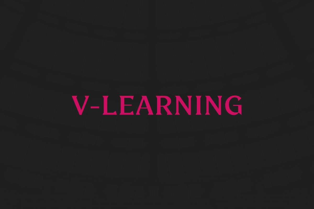 Inicio - V-Learning